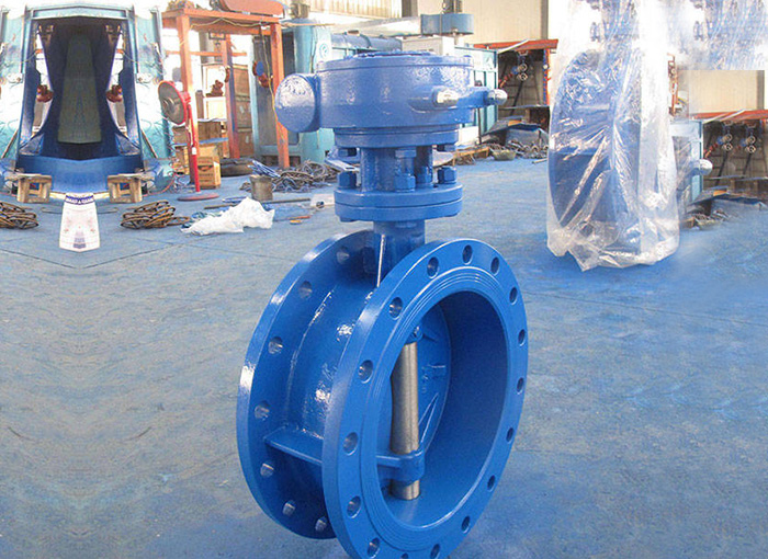 Double Eccentric Butterfly Valve