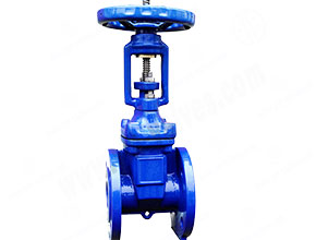 Soft Seal Gate Valve